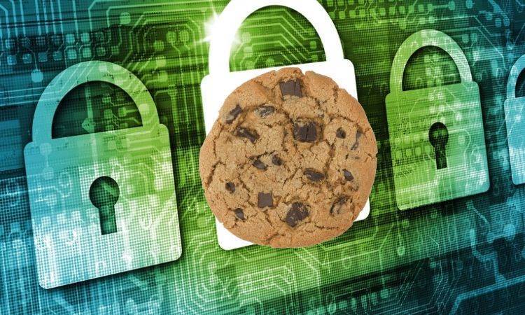 Politica De Cookies