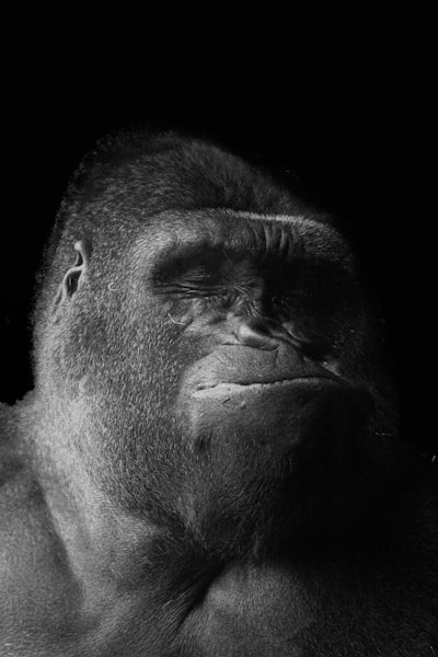 Más allá de la fuerza bruta: por qué LoongFlow es la evolución ...