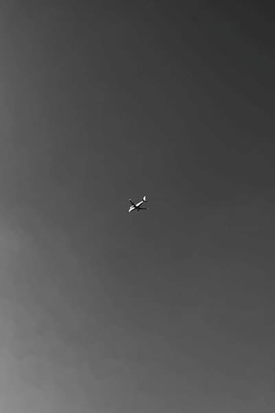 Copiloto lateral: Mi alternativa de extensión de Chrome al navegador Comet